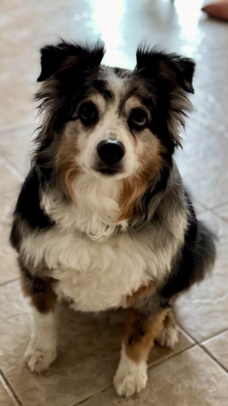 Building Better MedTech: Spotlight on Sarah Tully